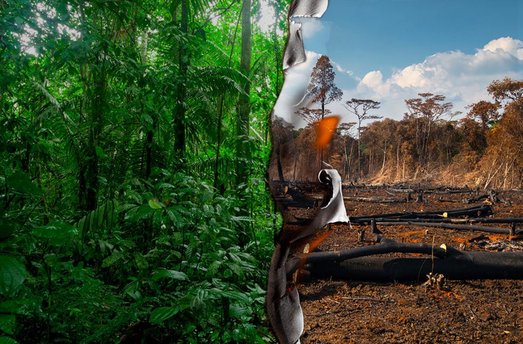 Greenwashing: O que é e como evitar cair em práticas sustentáveis ...